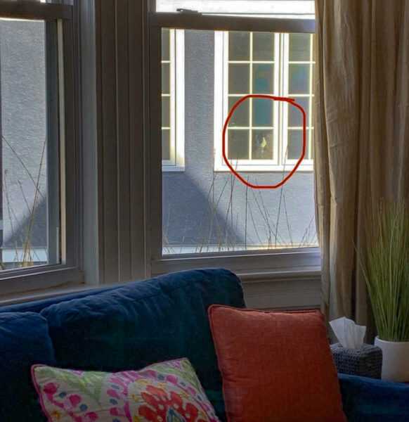 How to Hang Art on Windows & My Colorful Sunroom - Kelly Elko