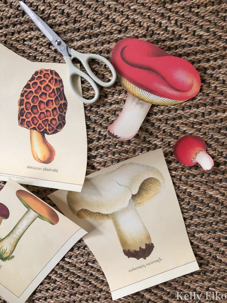 Magic Mushroom Christmas Tree & DIY Paper Ornaments - Kelly Elko