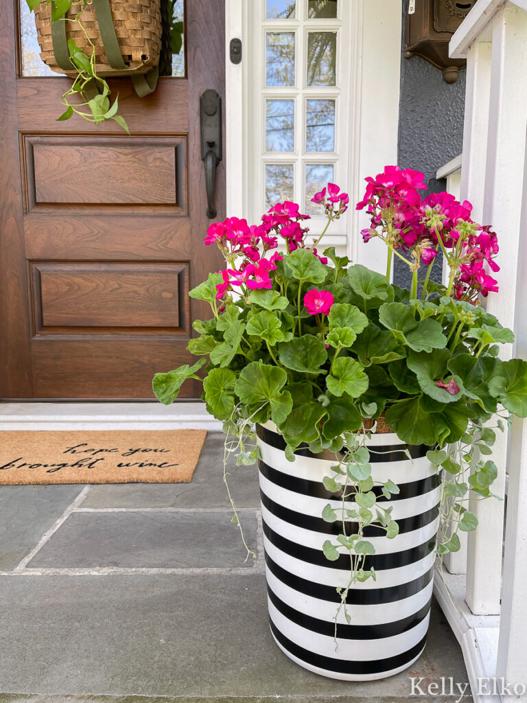 Think Outside the Pot - My Summer Porch - Kelly Elko