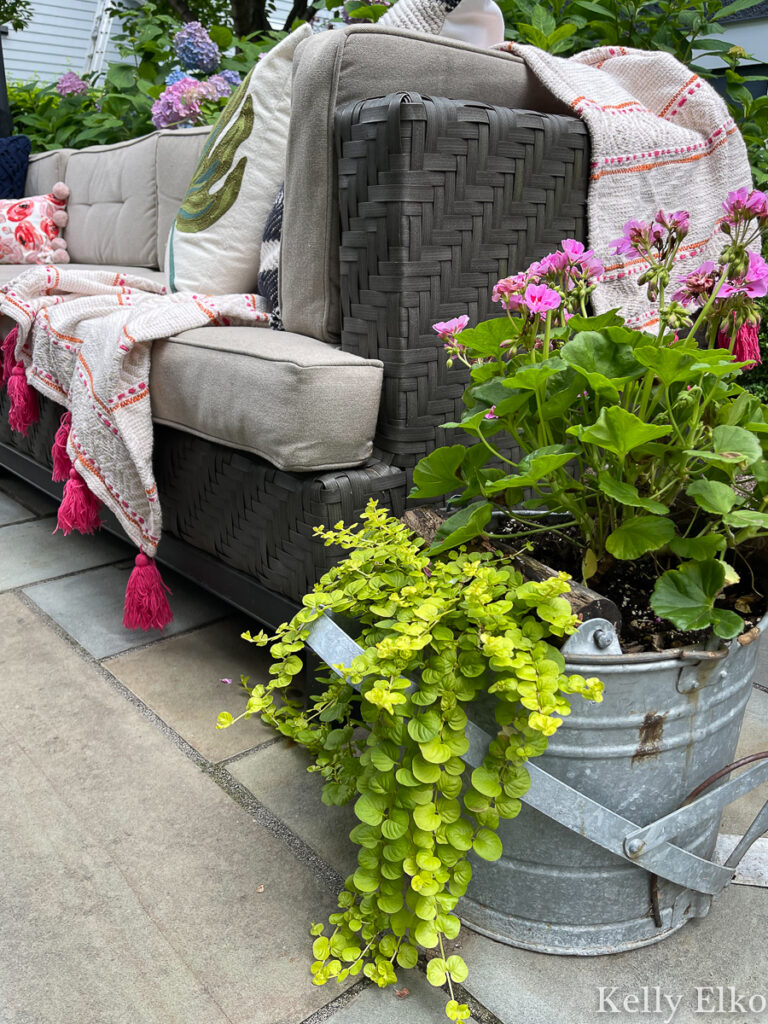 My Summer Patio Tour - Kelly Elko