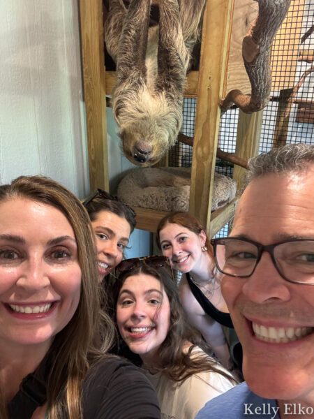 Meet a Capybara and Pet a Sloth! - Kelly Elko